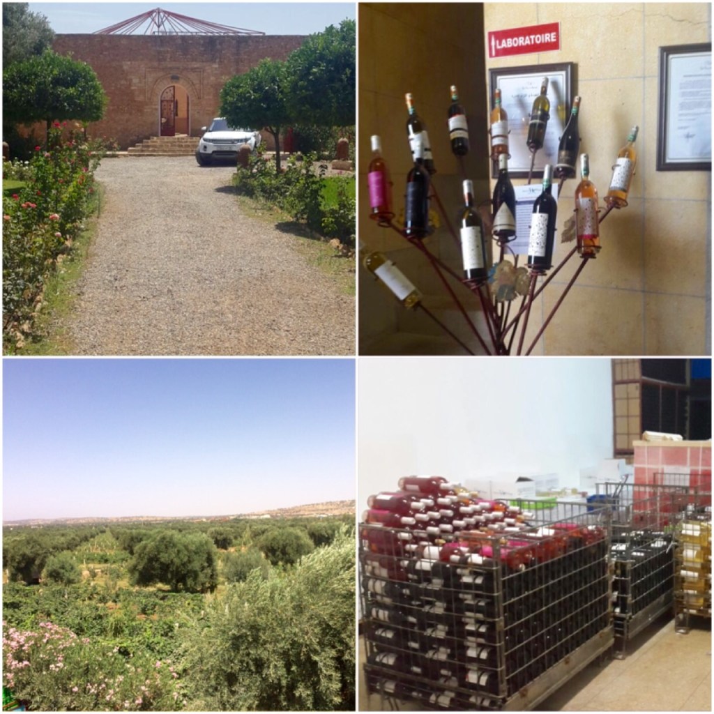 Domaine du Val d’Argan : Charles Melia brings Rhone to Morocco – High ...